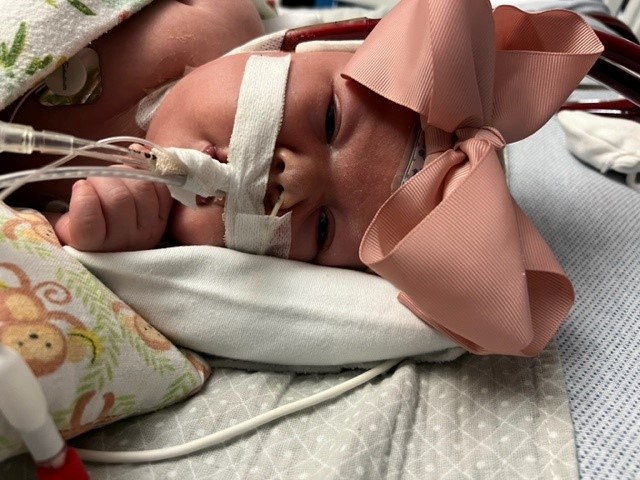 Miss Chloe Grace Rybolt | Greenlawn